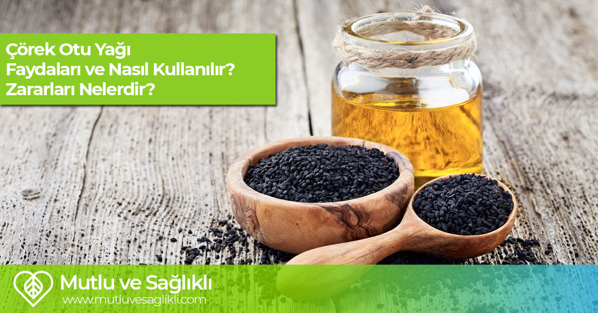 Çörek Otu Yağı Faydaları Nelerdir? Çörek Otu Yağı Nasıl Kullanılır? Çörek Otu Yağı Faydaları Nelerdir? Çörek Otu Yağı Nasıl Kullanılır?