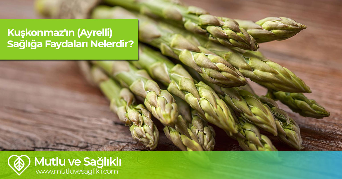 Kuşkonmaz'ın (Ayrelli) Sağlığa Faydaları ve Zararları Nelerdir?