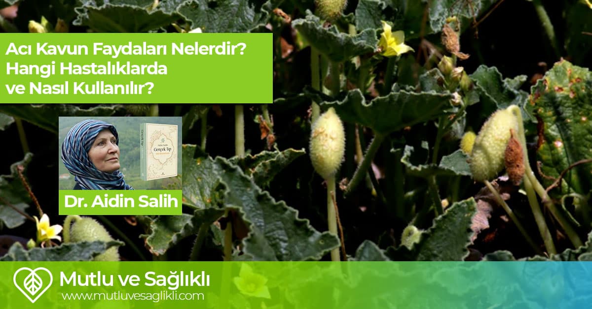Dr. Aidin Salih: Acı Kavun Faydaları ve Nasıl Kullanılır?